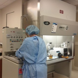 Islet Cell Isolation Lab Helps Patients and Researchers Nationwide ...